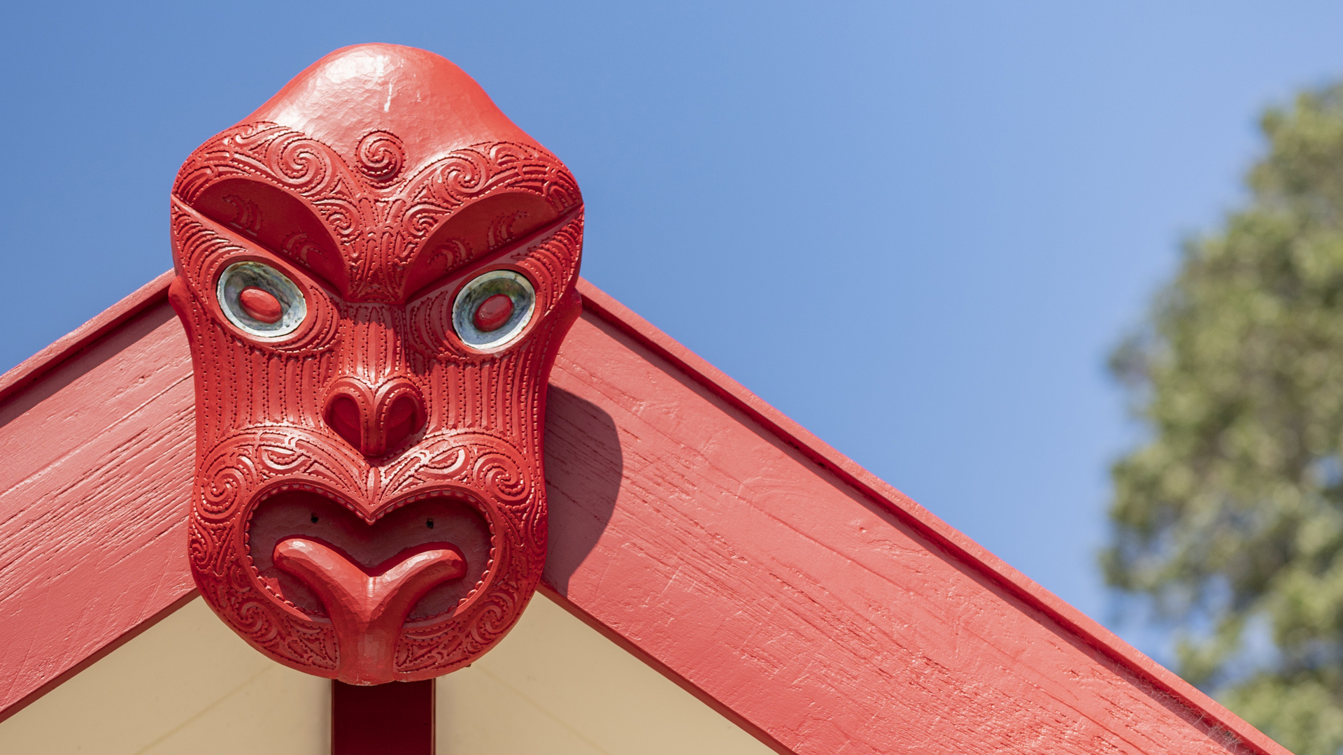 Orete No. 2 and Other Blocks Incorporation, Eastern Bay of Plenty | Ag ...